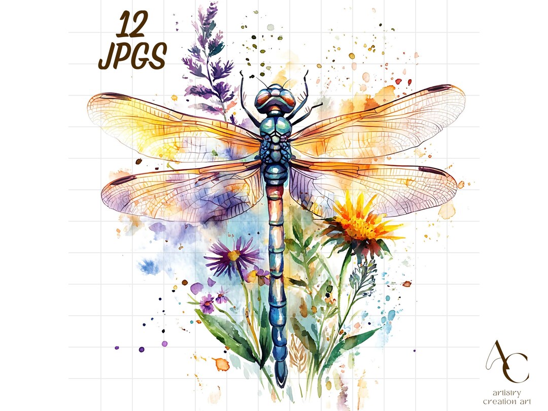 12 Tropical Dragonfly Clipart, Watercolor Insect, Spring Colorful JPG ...