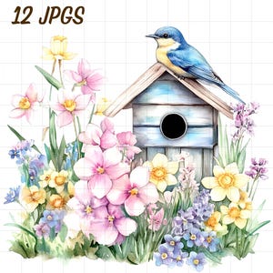 12 Spring Birdhouse Clipart, Bird Floral JPG, Bluebird Wildflower, Wild ...