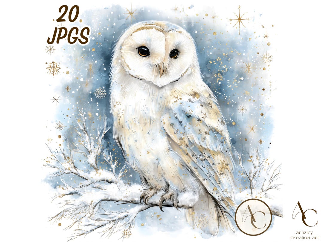 20 Winter Owl Clipart Bundle, Christmas Bird JPG, Snowy Xmas Woodland ...
