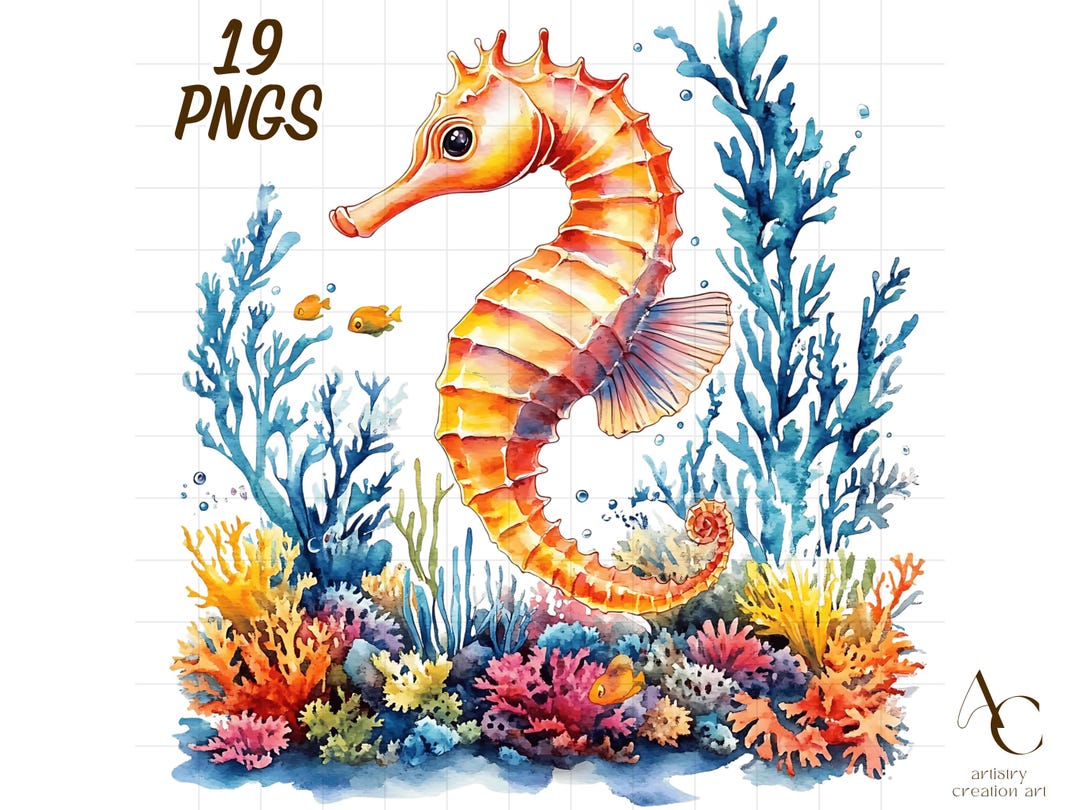 19 Sea Creature Clipart Bundle, Ocean Animal Png, Marine Life ...