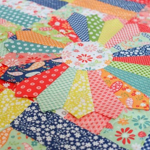 PRE-ORDER Raspberry Summer Jelly Roll 40 Pcs by Sherri and Chelsi for ...