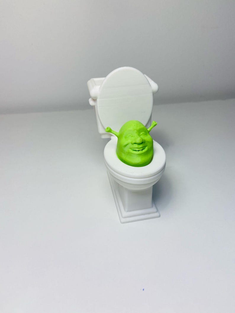 Skibidi Shrek Toilet – Funny 3D Printed Desk Toy, Meme Collectible - Etsy