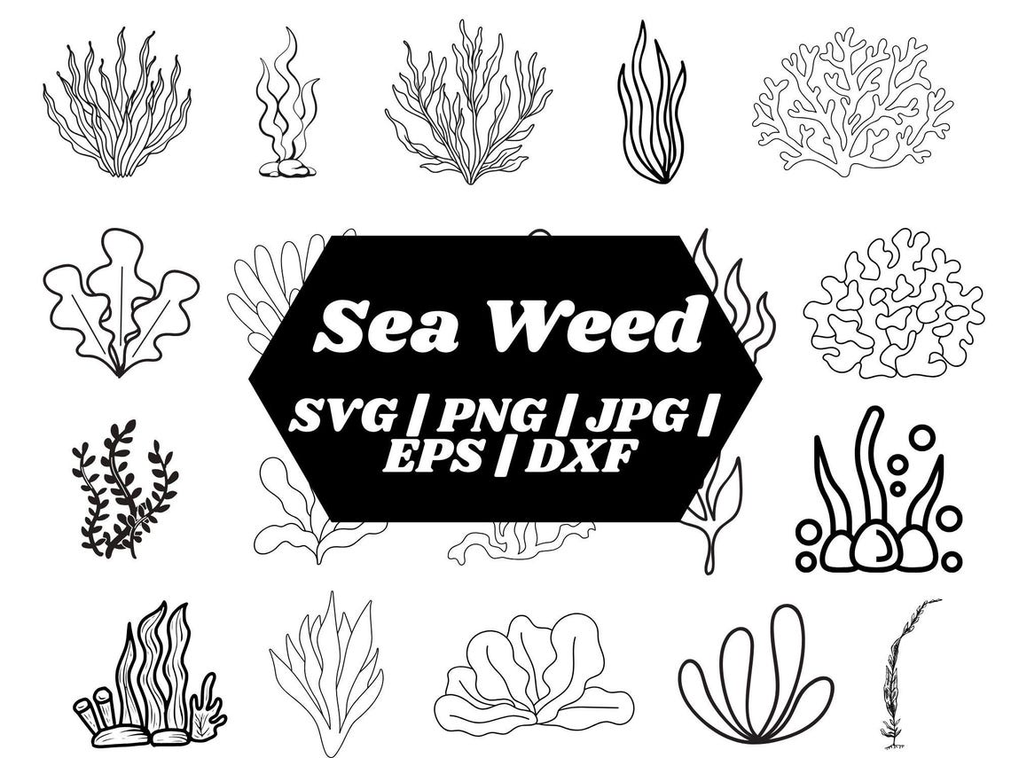 Seaweed Svg,coral SVG Bundle,sea Svg, Files for Cricut and Silhouette ...