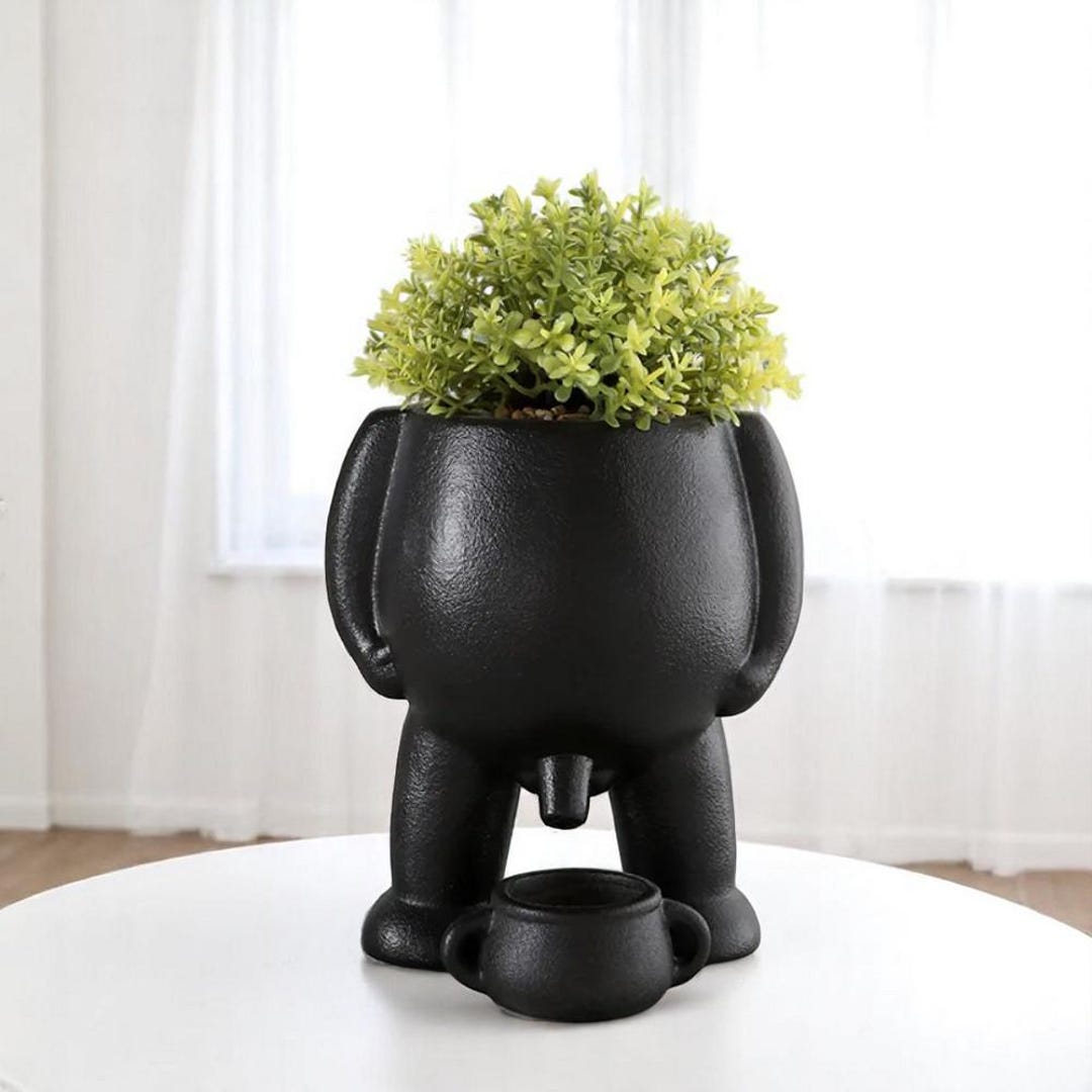 Funny Pee Plant Pot With Drainage, Unique Ceramic Indoor Plant Pot ...
