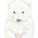 Polar Bear Cub Watercolor Painting Giclee Reproduction Nursery - Etsy
