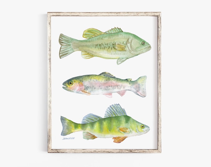 Three Fish Watercolor Print Fishing Art Fisherman Painting Bass, Trout ...
