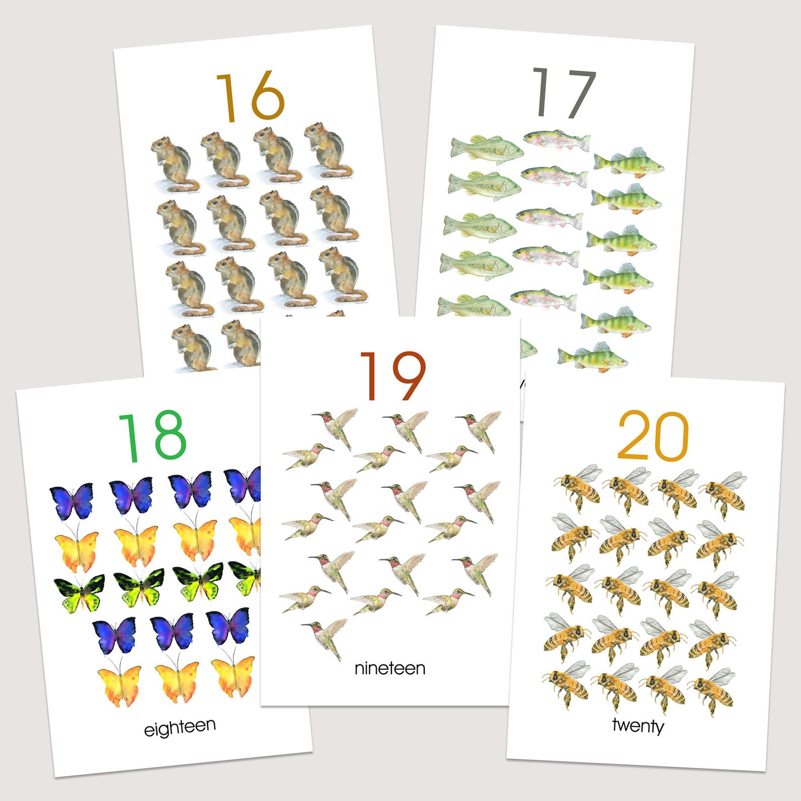 Woodland Watercolor Number Flash Cards - 1-20 - Flora and Fauna - Etsy