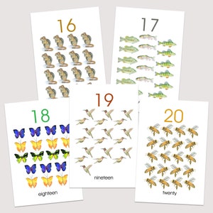 Woodland Watercolor Number Flash Cards - 1-20 - Flora and Fauna - Etsy