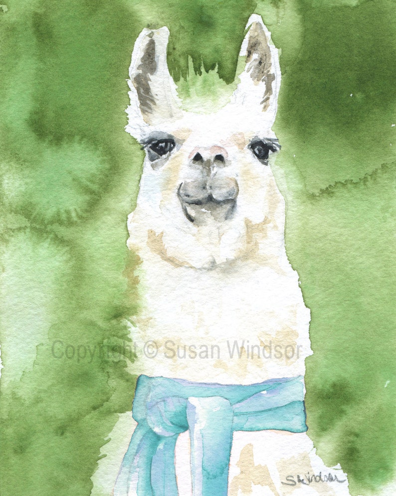 Llama With Blue Scarf Watercolor Painting Fine Art Print 8 X - Etsy