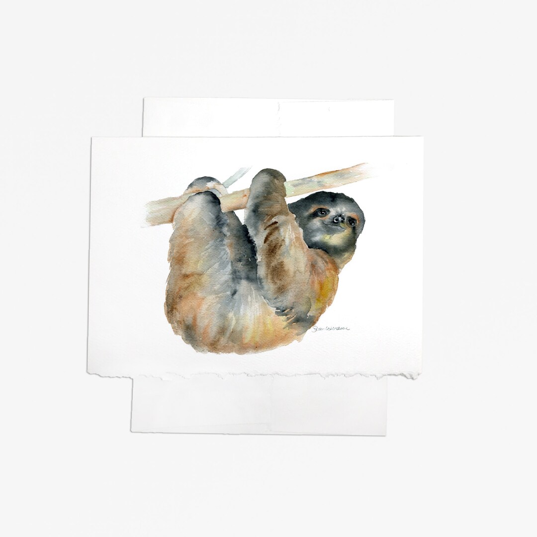 Sloth Watercolor Painting Greeting Card - Blank 5x7 - Etsy