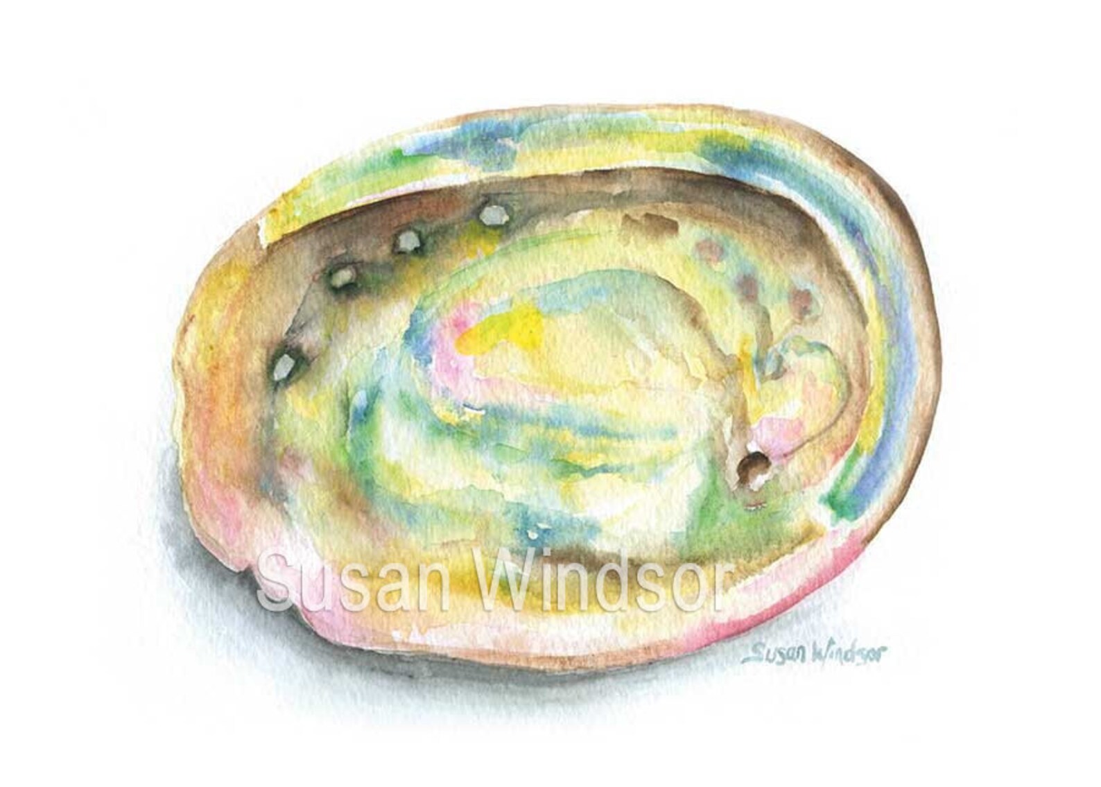 Seashell Art Prints Set of 4 Abalone Turbin Clam Nautilus Ocean Beach ...