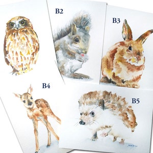 Watercolor Woodland Animal Cards Mix and Match Set of 6 - Etsy