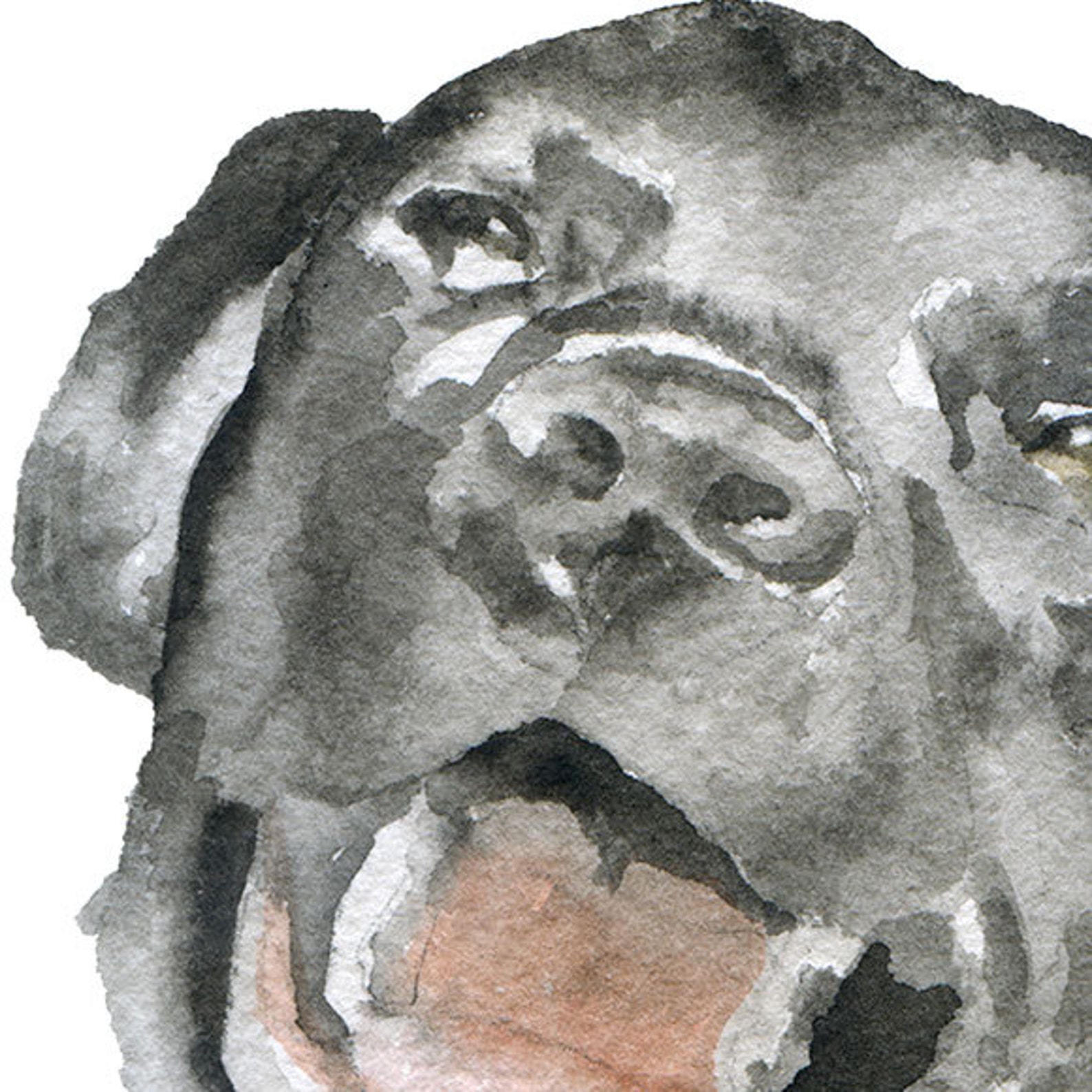 Black Lab Watercolor Painting Giclee Print Preproduction Dog - Etsy