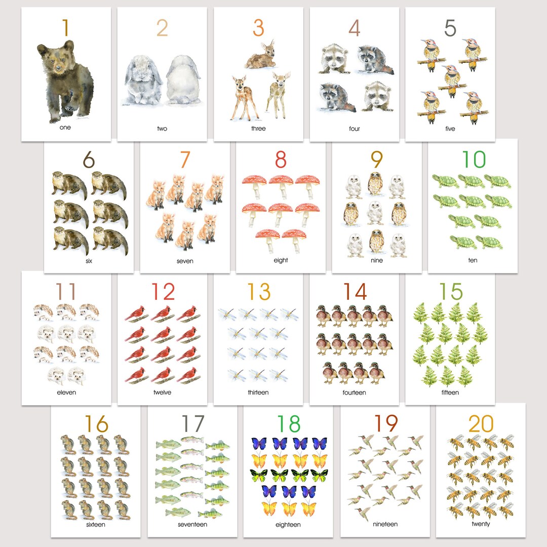Woodland Watercolor Number Flash Cards - 1-20 - Flora and Fauna - Etsy