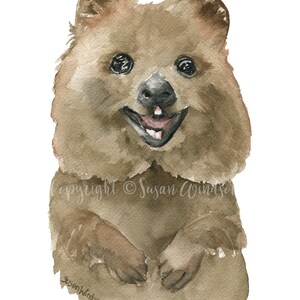 Quokka Watercolor Painting Giclee Print Reproduction - Australian ...