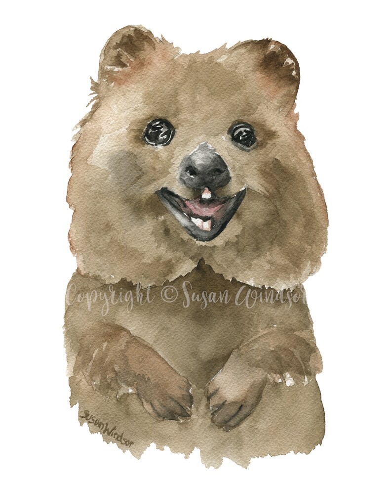 Quokka Watercolor Painting Giclee Print Reproduction - Etsy