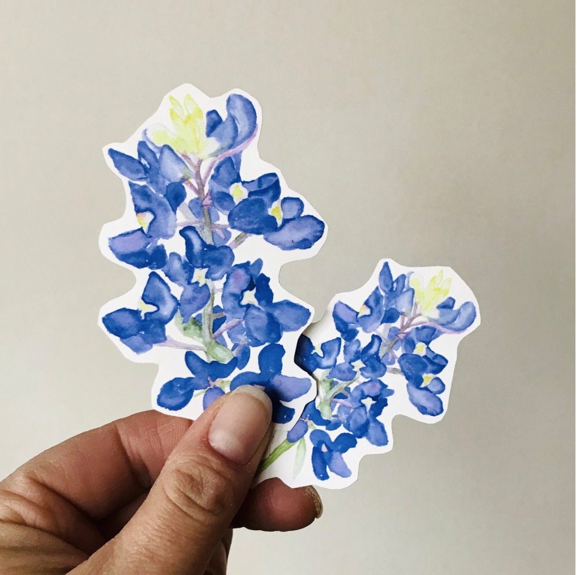 Bluebonnet Vinyl Sticker for Water Bottles and Laptops - Etsy