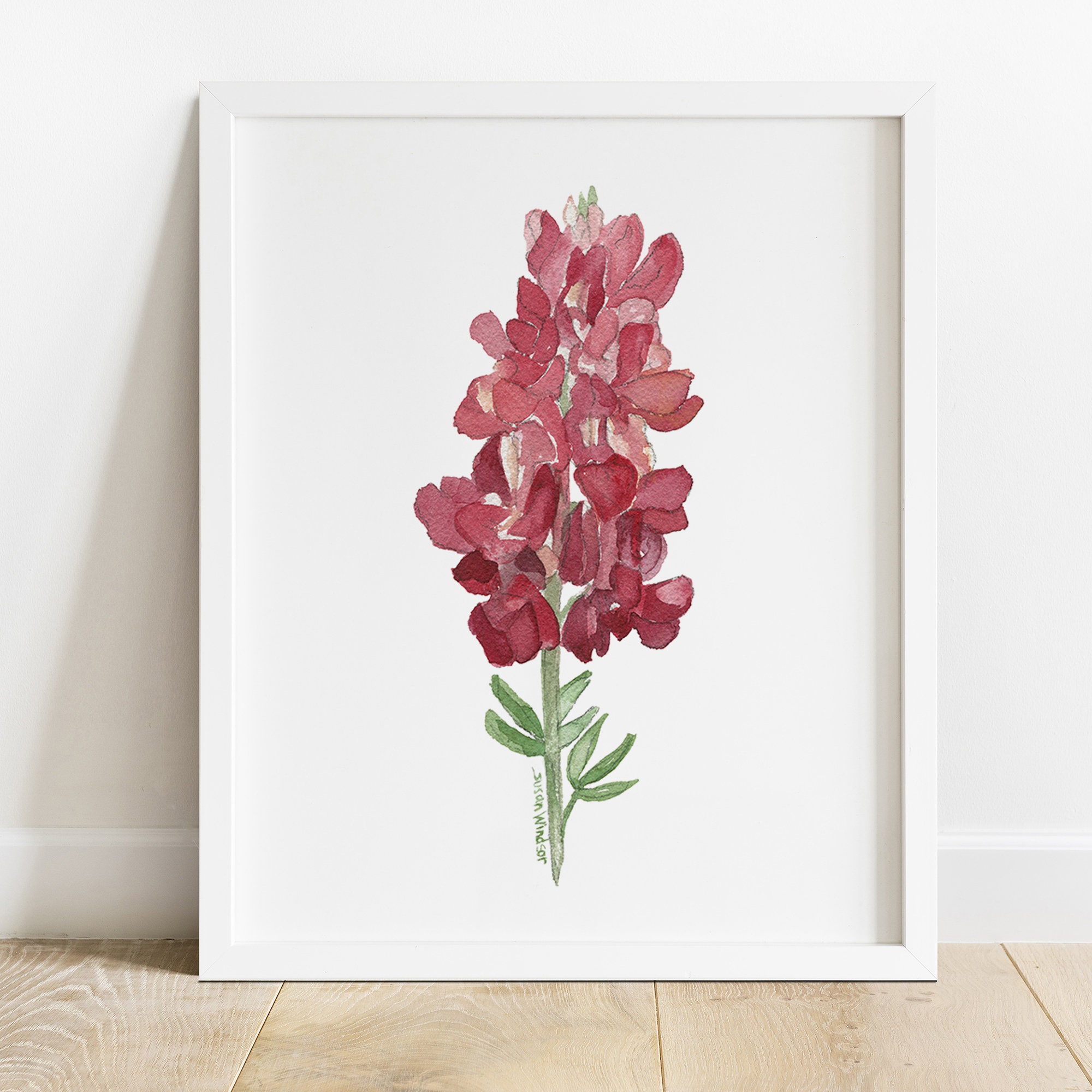 Maroon Bonnet Wildflower Watercolor Painting Giclee Print | Etsy