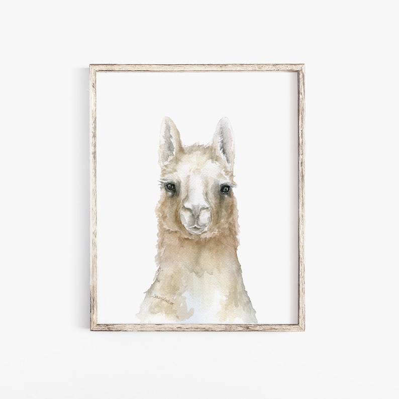 Llama Watercolor Painting Fine Art Print 8 X 10 - 8.5 X 11 - Nursery ...