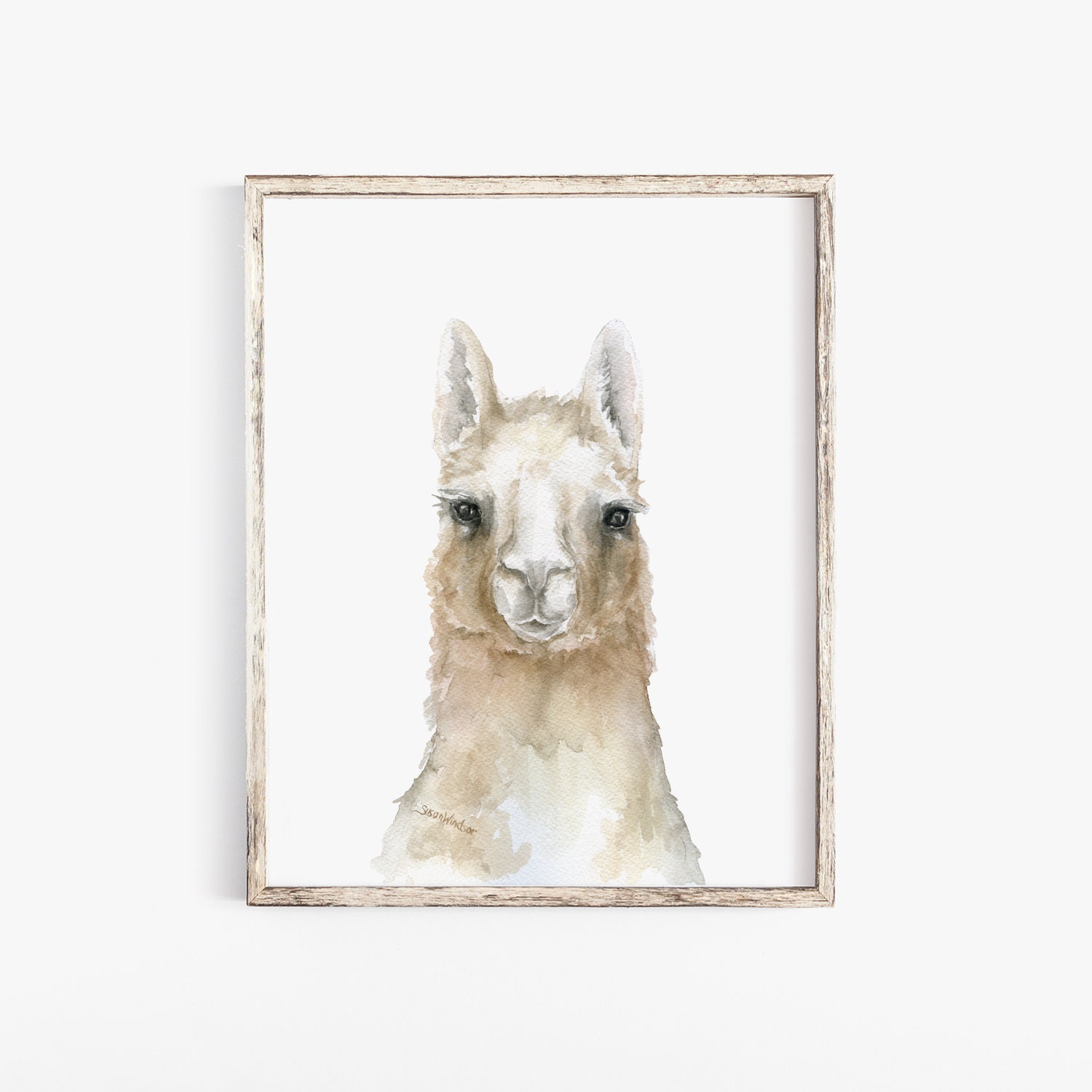 Llama Watercolor Painting Fine Art Print 8 X 10 8.5 X 11 | Etsy
