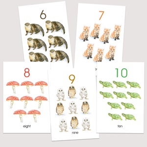 Woodland Watercolor Number Flash Cards - 1-20 - Flora and Fauna - Etsy