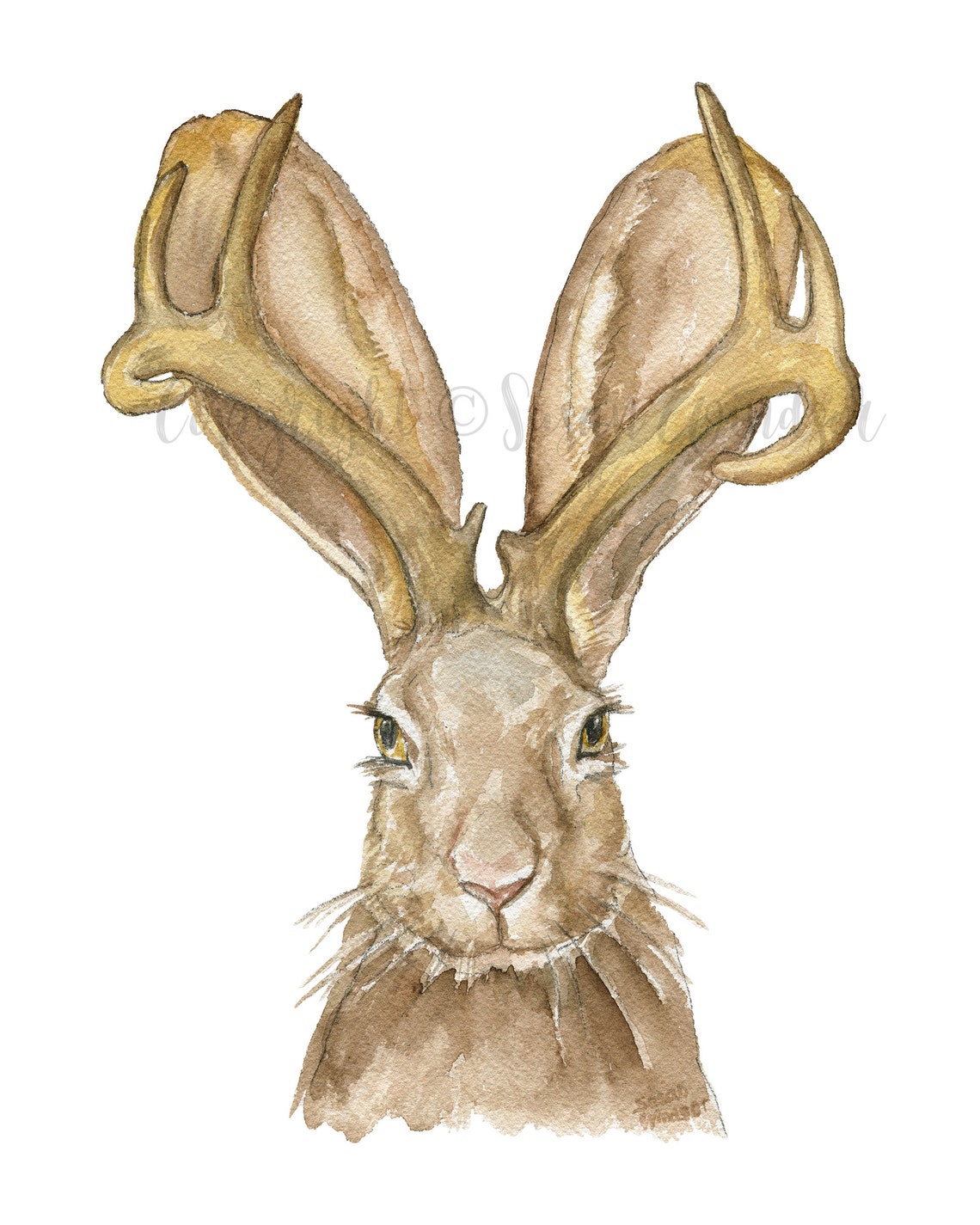 Jackalope Watercolor Painting Large Art Poster Print - Etsy