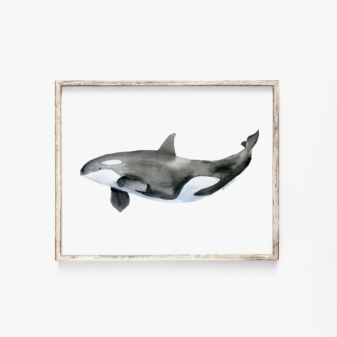 Orca Killer Whale Watercolor Painting - Giclee Print Ocean Sea Life ...