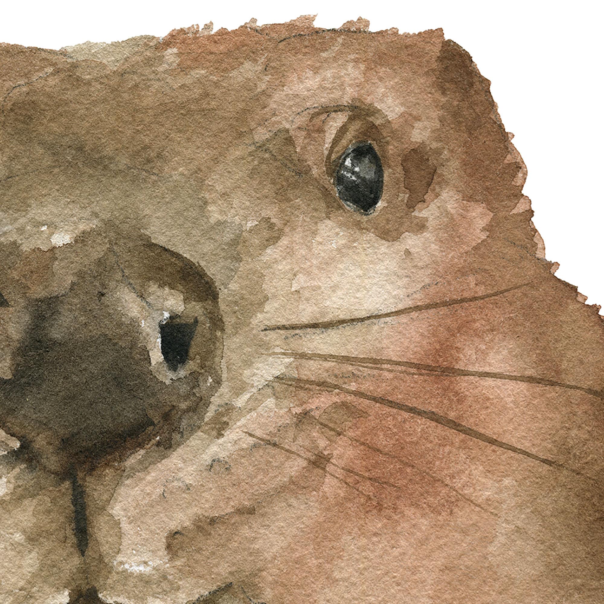 Baby Beaver Watercolor Painting Giclee Print Nursery Art | Etsy