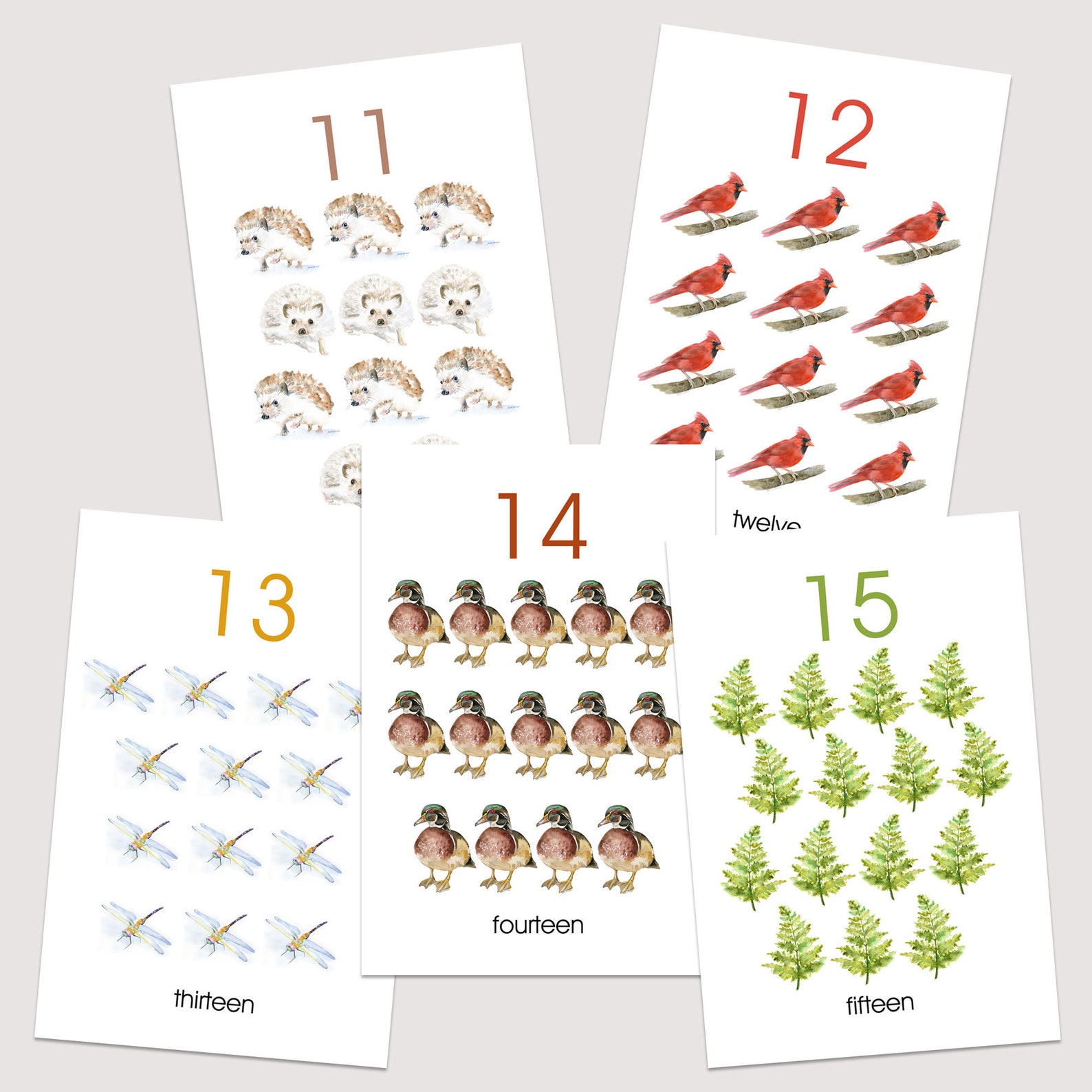 Woodland Watercolor Number Flash Cards 1-20 Flora and - Etsy