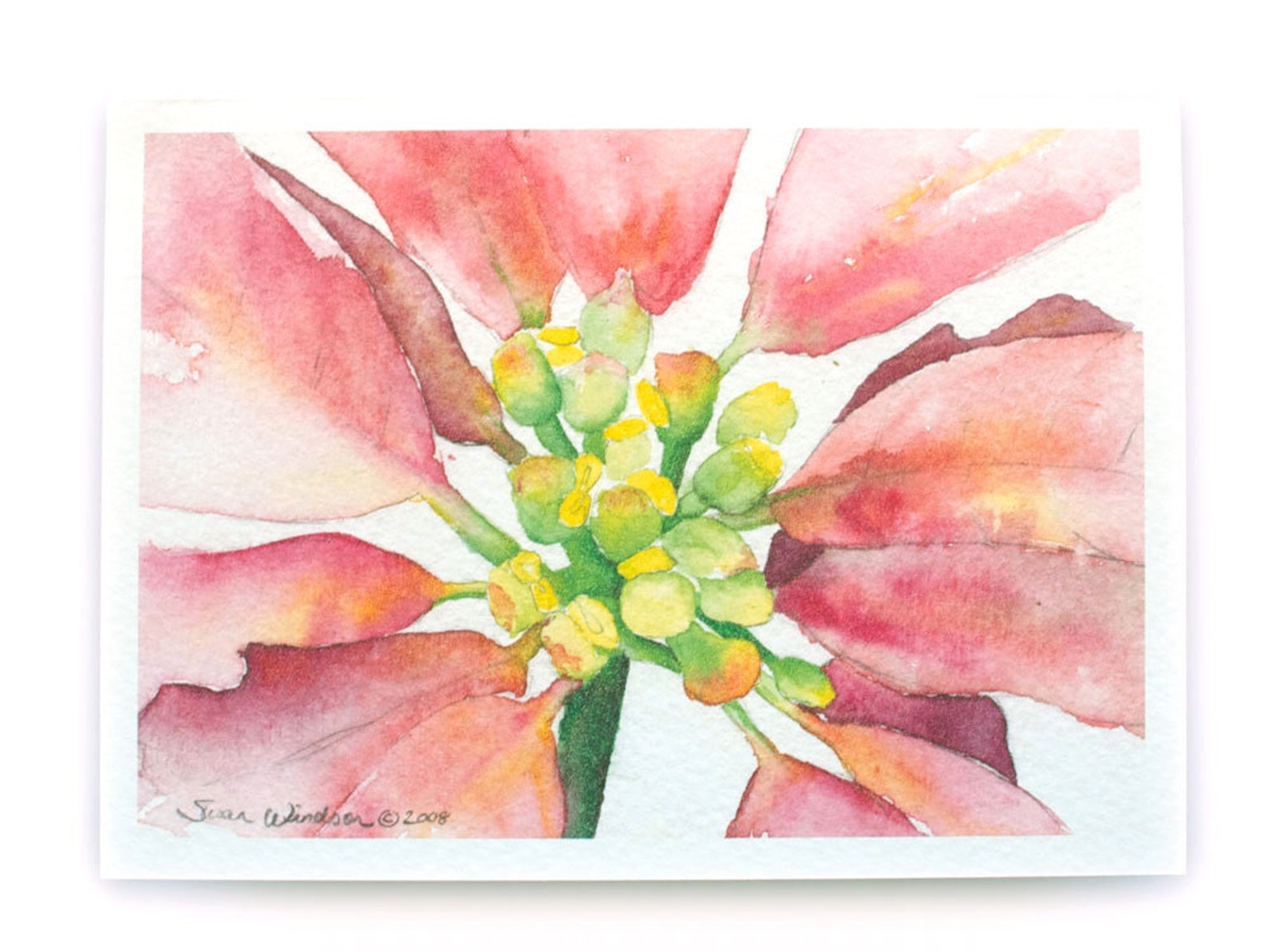 Watercolor Christmas Poinsettia Christmas Card Watercolor - Etsy
