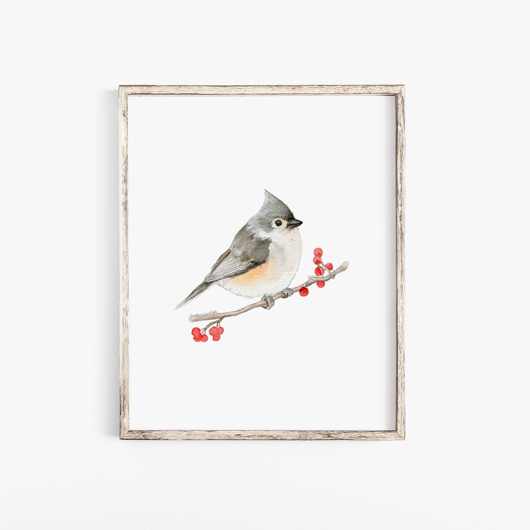 Tufted Titmouse Watercolor Painting Fine Art Print Large Poster Size ...