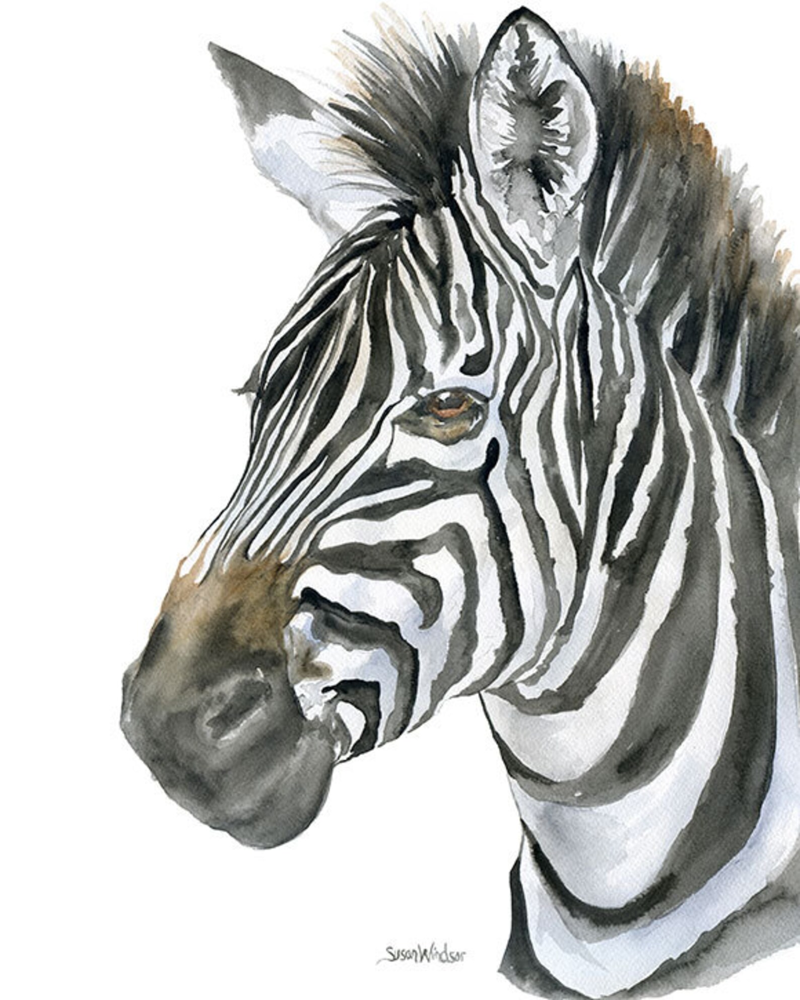 Watercolor African Animal Cards - 5" X 7" - Set of 4 Greeting Cards and ...