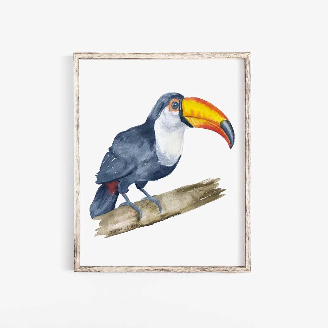 Toucan Watercolor Painting Giclee Print Reproduction - Bird Watcher ...