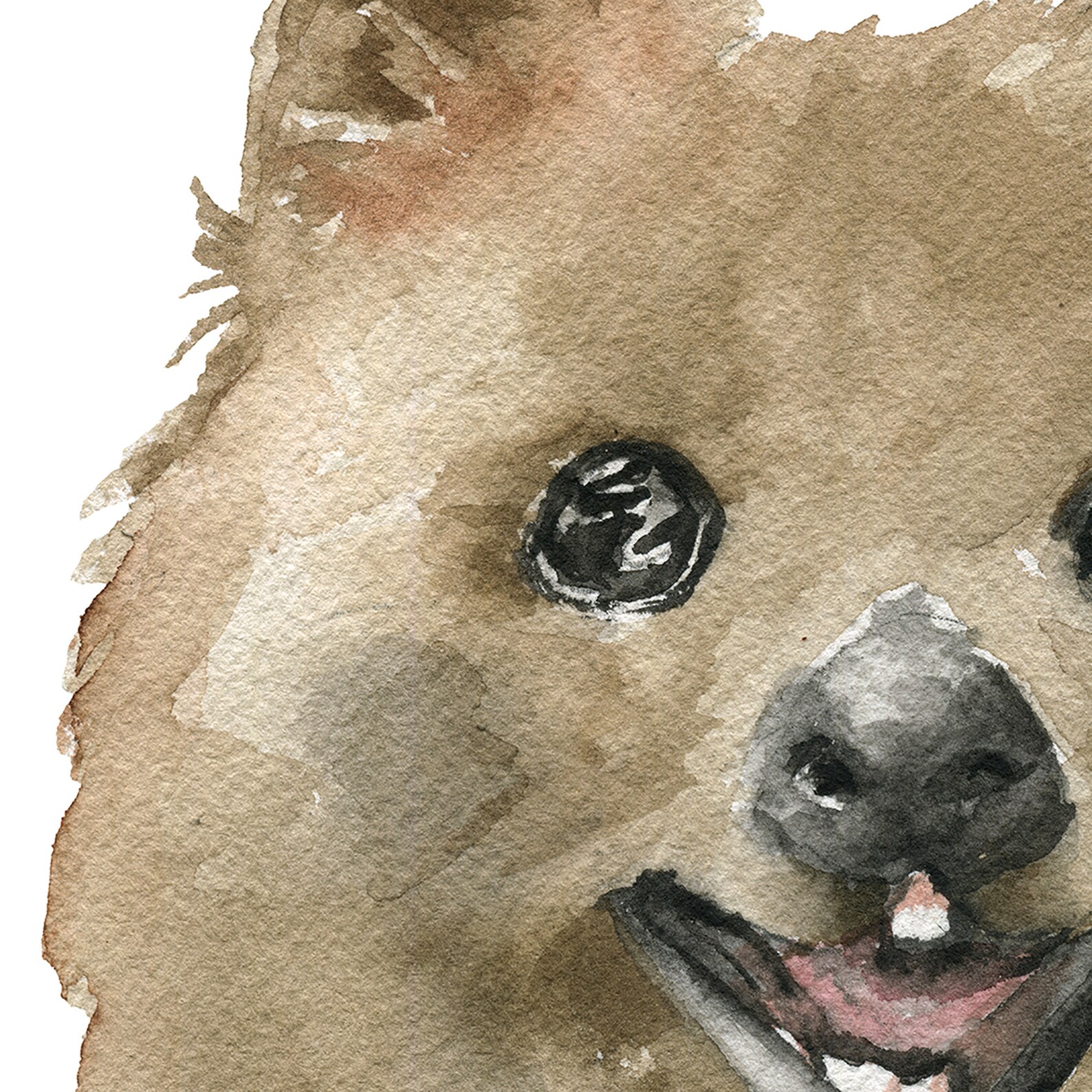 Quokka Watercolor Painting Giclee Print Reproduction - Etsy