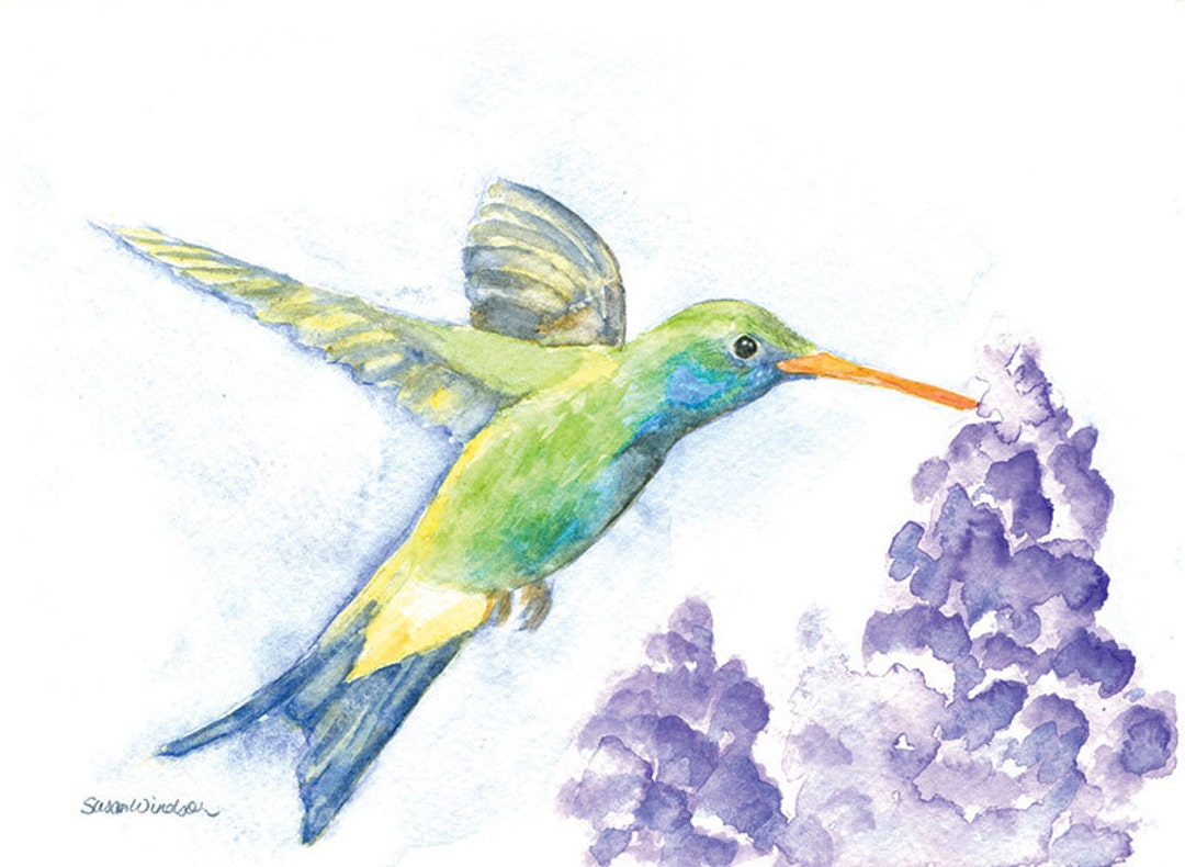 Hummingbird Watercolor Painting Spring - Giclee Print UNFRAMED - Etsy