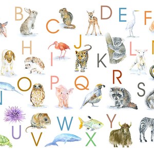 Alphabet Animals Watercolor Poster - 10 X 8 - Nursery Art - ABC Wall ...