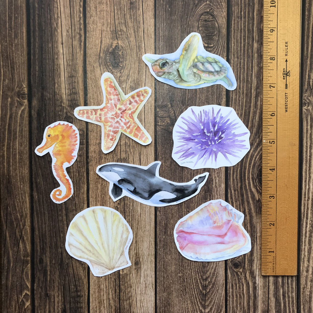 Ocean Animals Watercolor vinyl sticker set of 7 For Water | Etsy