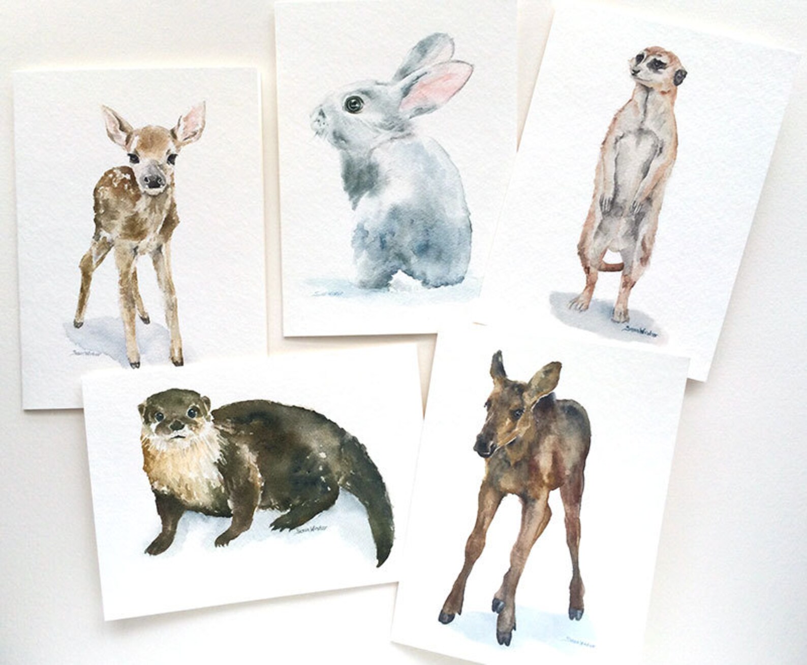 Woodland Animal Watercolor Painting Greeting Card Set - 5 X 7 Cards ...