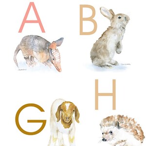 Alphabet Animals Watercolor Poster - 10 X 8 - Nursery Art - ABC Wall ...