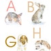 Alphabet Animals Watercolor Poster 10 X 8 Nursery Art ABC Wall Art 11 X ...