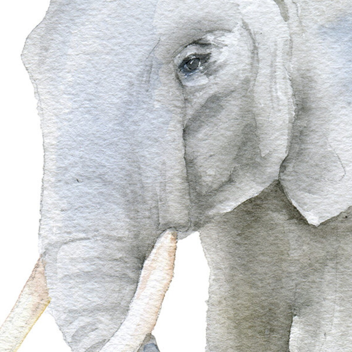 Mother and Baby Elephants Watercolor Print 36x24 Large Safari | Etsy