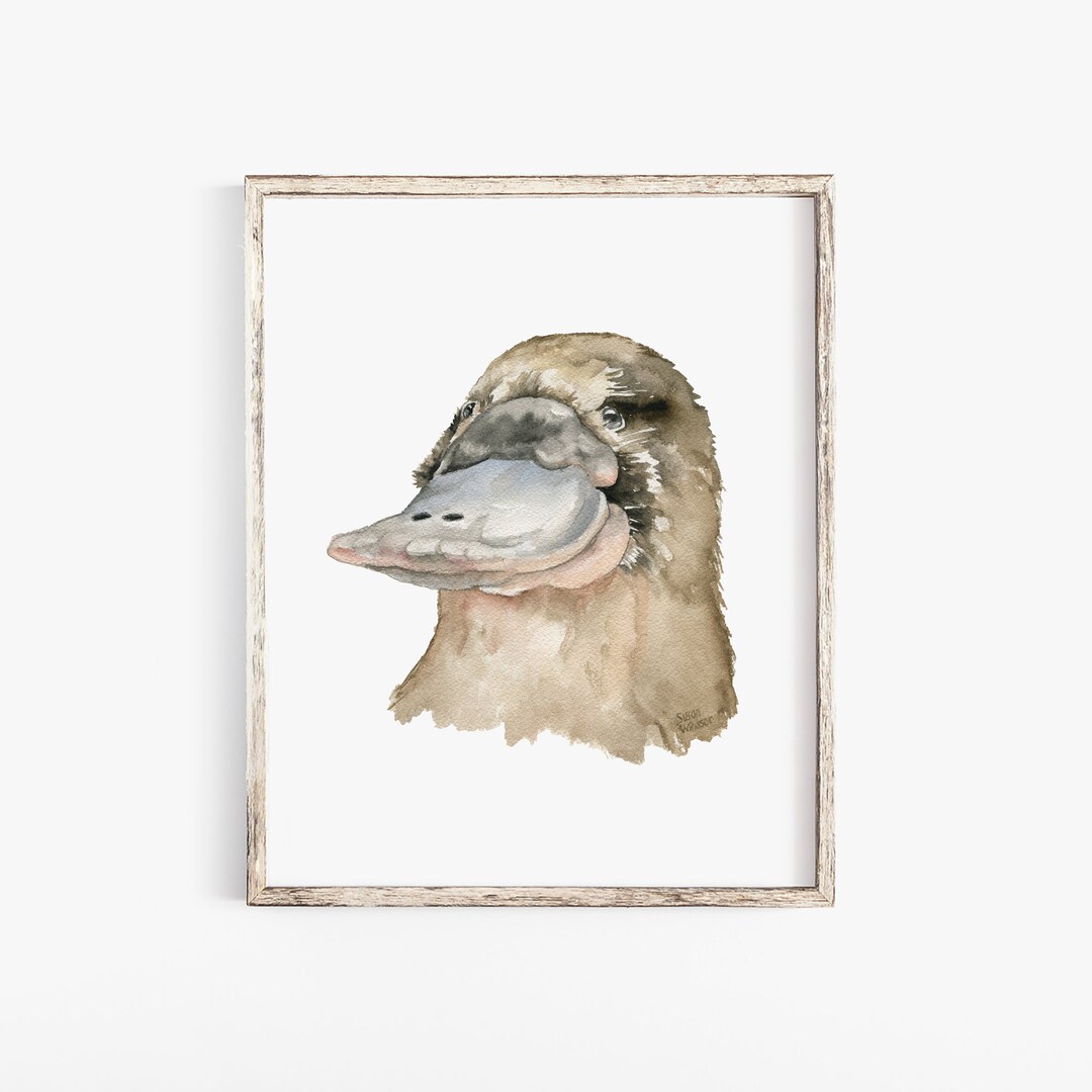 Platypus Watercolor Painting Giclee Print Reproduction - Australian ...
