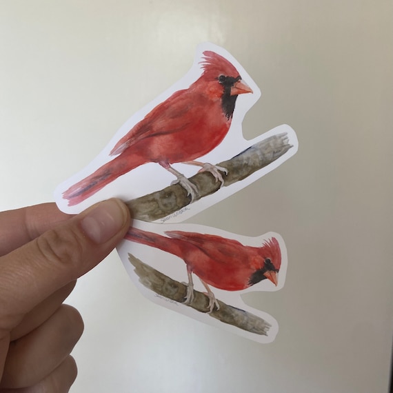 Red Cardinal Vinyl Sticker for Water Bottles and Laptops - Etsy