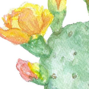 Prickly Pear Cactus Watercolor Painting Giclee Print - Cacti Art ...