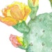 Prickly Pear Cactus Watercolor Painting Giclee Print - Cacti Art ...