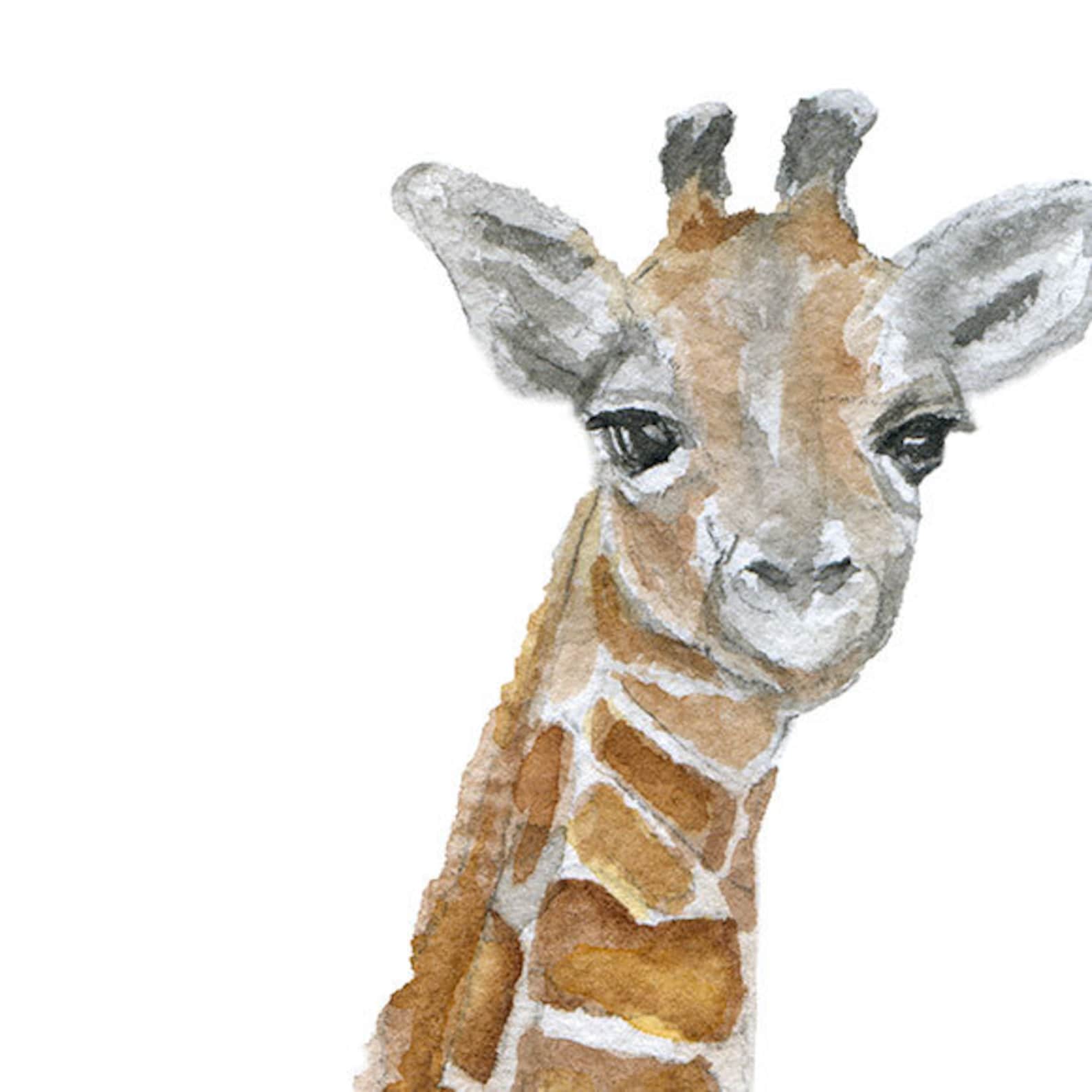 Baby Giraffe 2 Watercolor Painting Giclee Print Reprodcution - Etsy