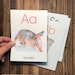 Animal Alphabet Flash Cards Watercolor Animals ABC Watercolor Flash ...