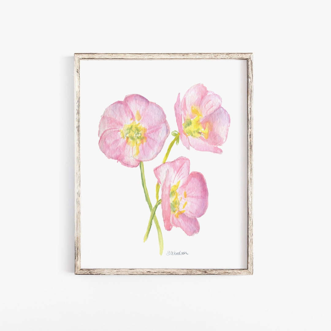 Pink Evening Primrose Wildflower Watercolor Painting - Giclee Print ...