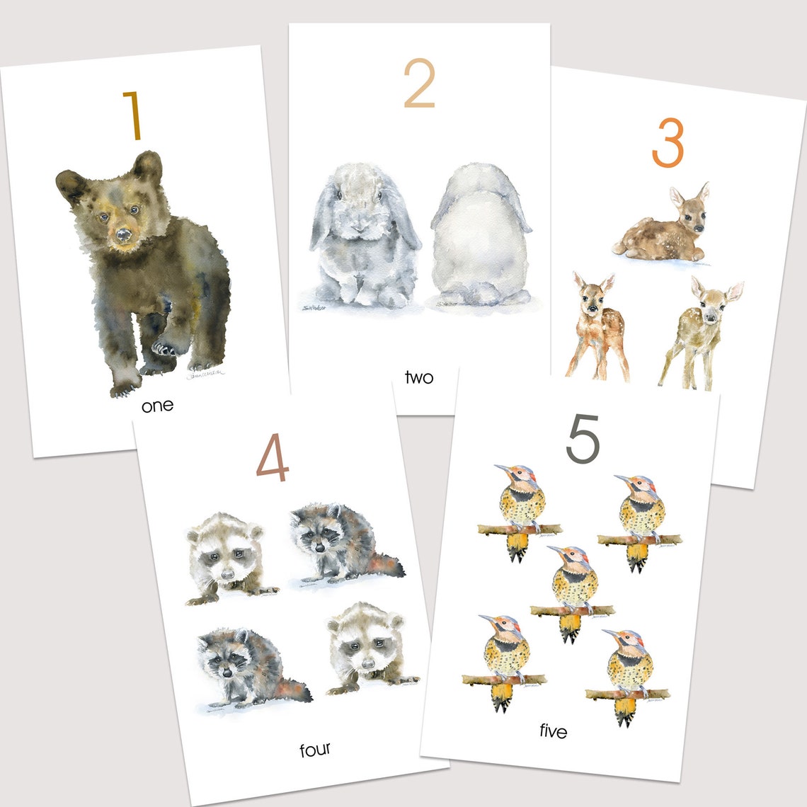 Woodland Watercolor Number Flash Cards 1-20 Flora and | Etsy