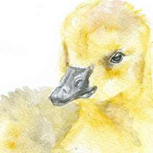 Gosling Watercolor Painting Giclee Print Art Nursery Print Baby Goose ...